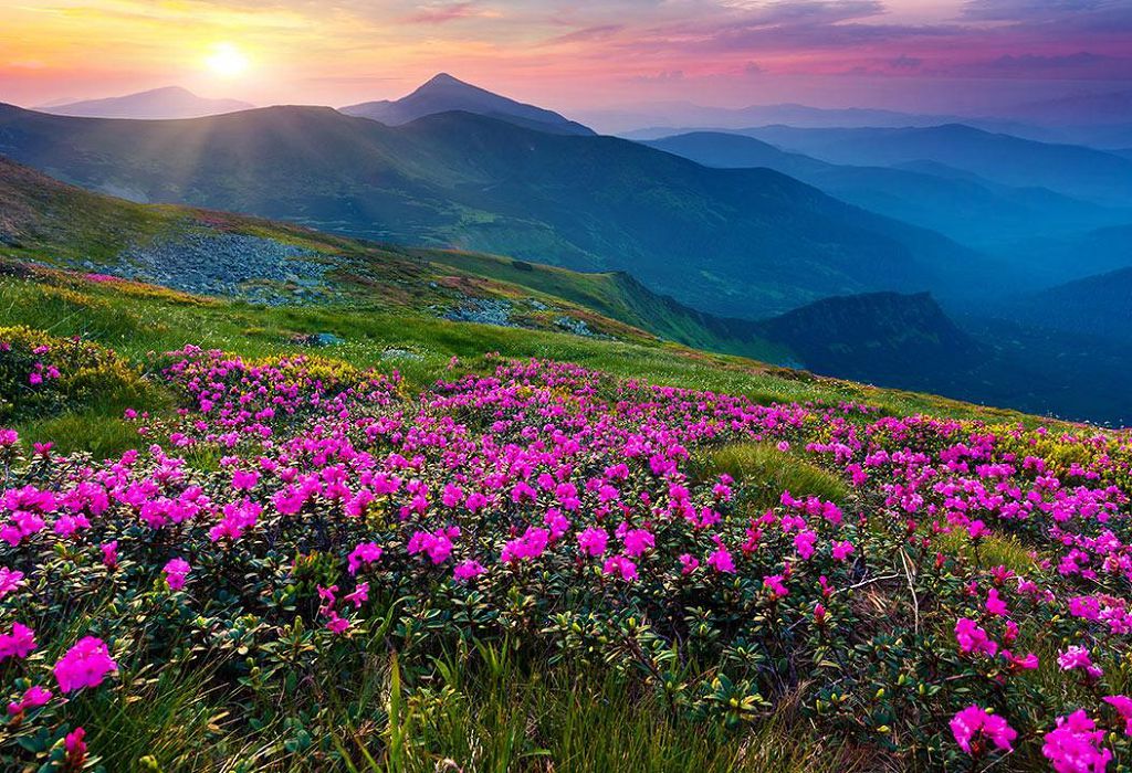 10 Most Beautiful Places In India — Страница 5 — TopsJournal